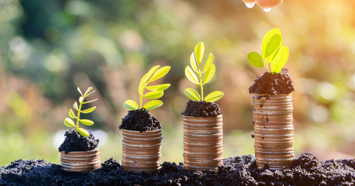 Informed Investor | How Being Green Can Save You Money